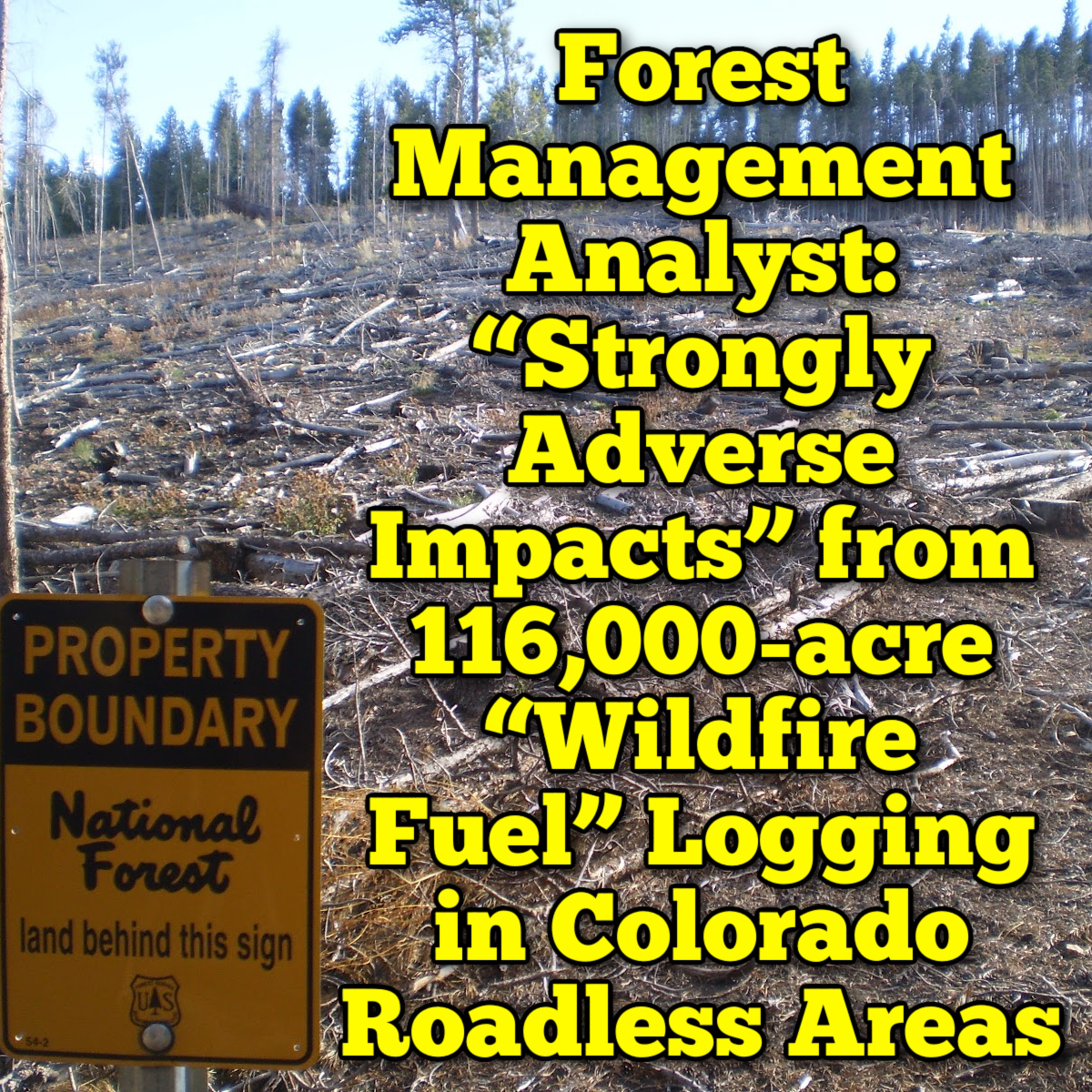 Forest Management Analyst Warns of “Strongly Adverse Impacts” from ...