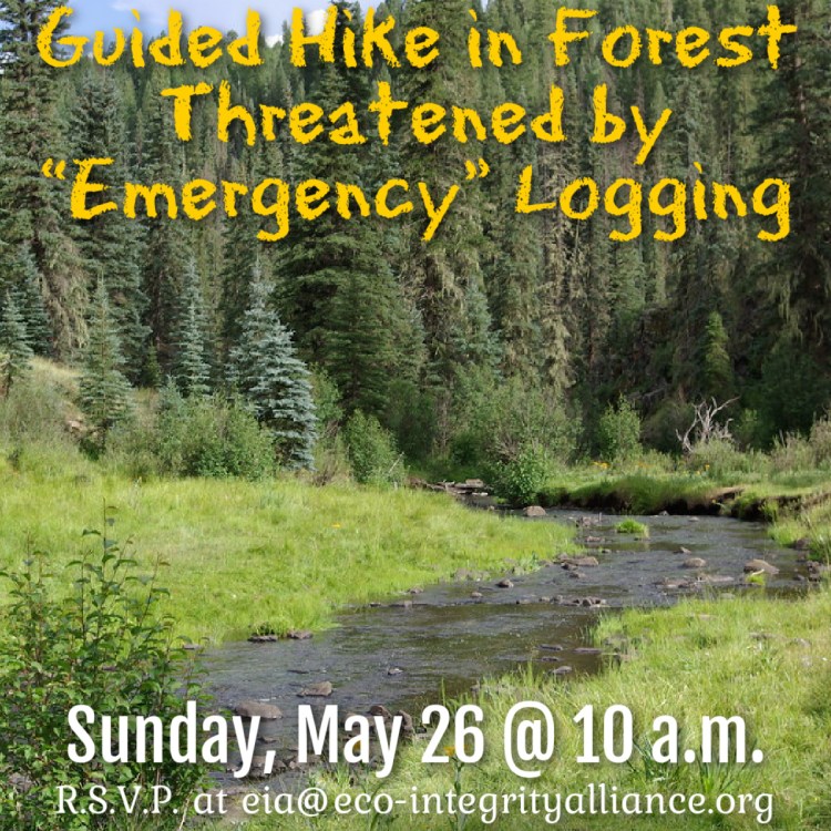 Public Invited on Guided Hike through Colorado Forest Threatened by ...
