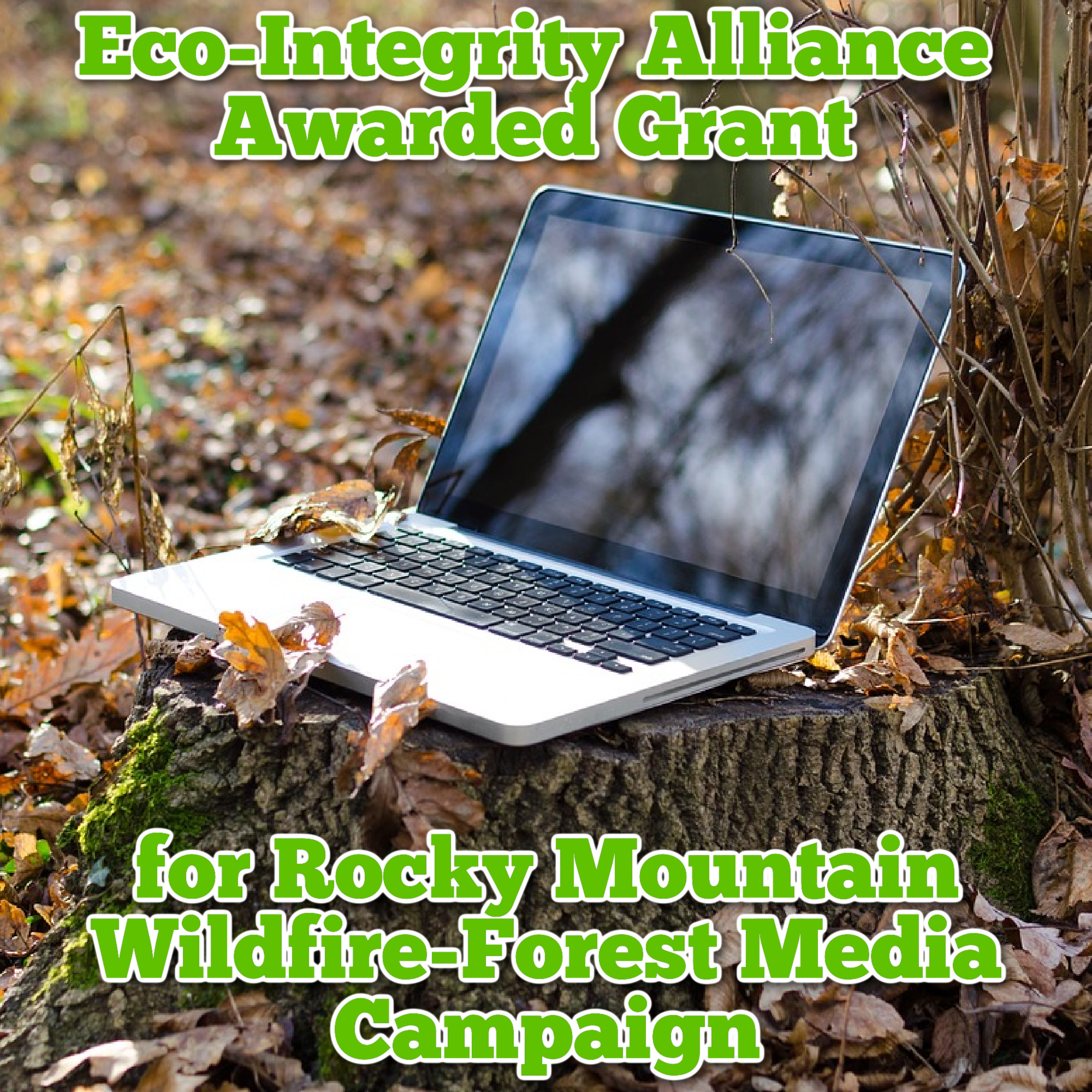 Eco-Integrity Alliance – Uniting the grassroots environmental movement