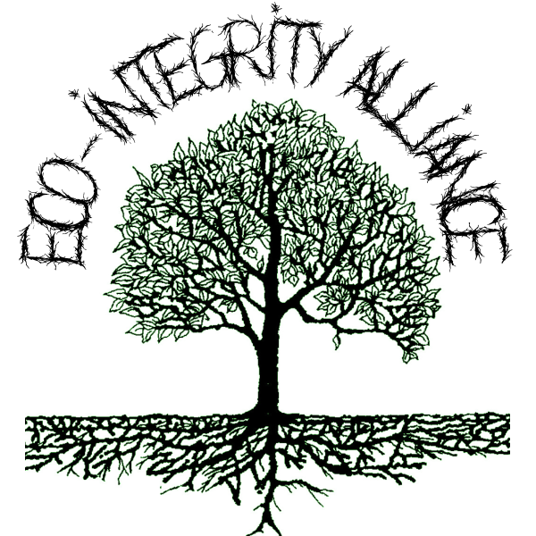 Newsletter/Substack – Eco-Integrity Alliance