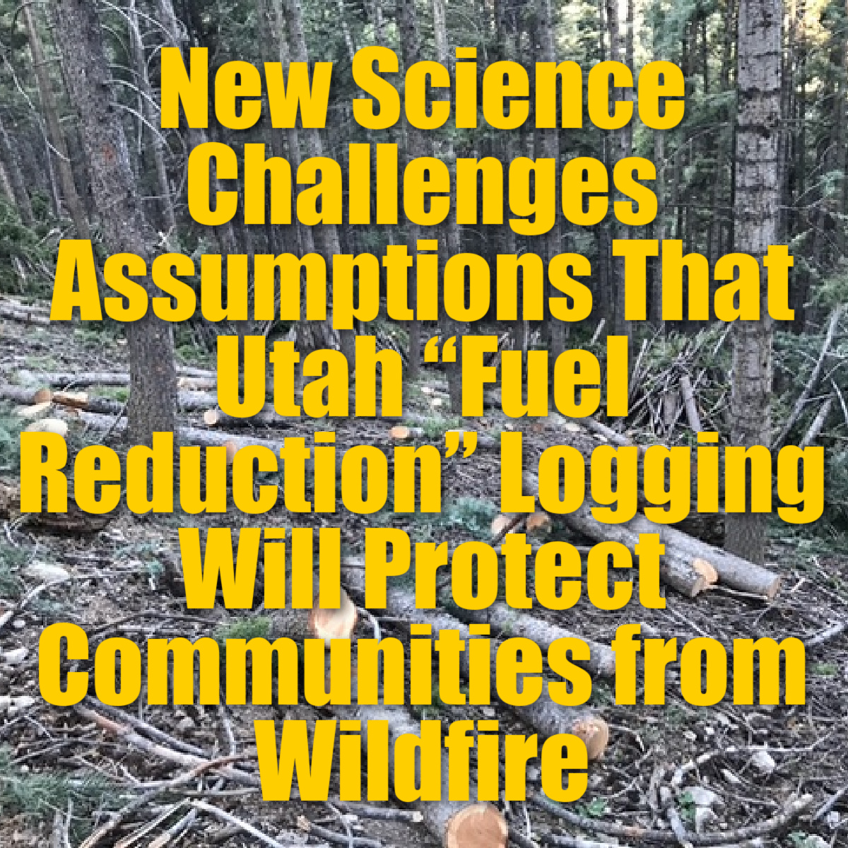 New Science Challenges Assumptions That Utah “Fuel Reduction” Logging ...