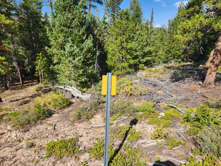 Evidence from U.S. Forest Service Study: Forest “Thinned” for “Fuel ...