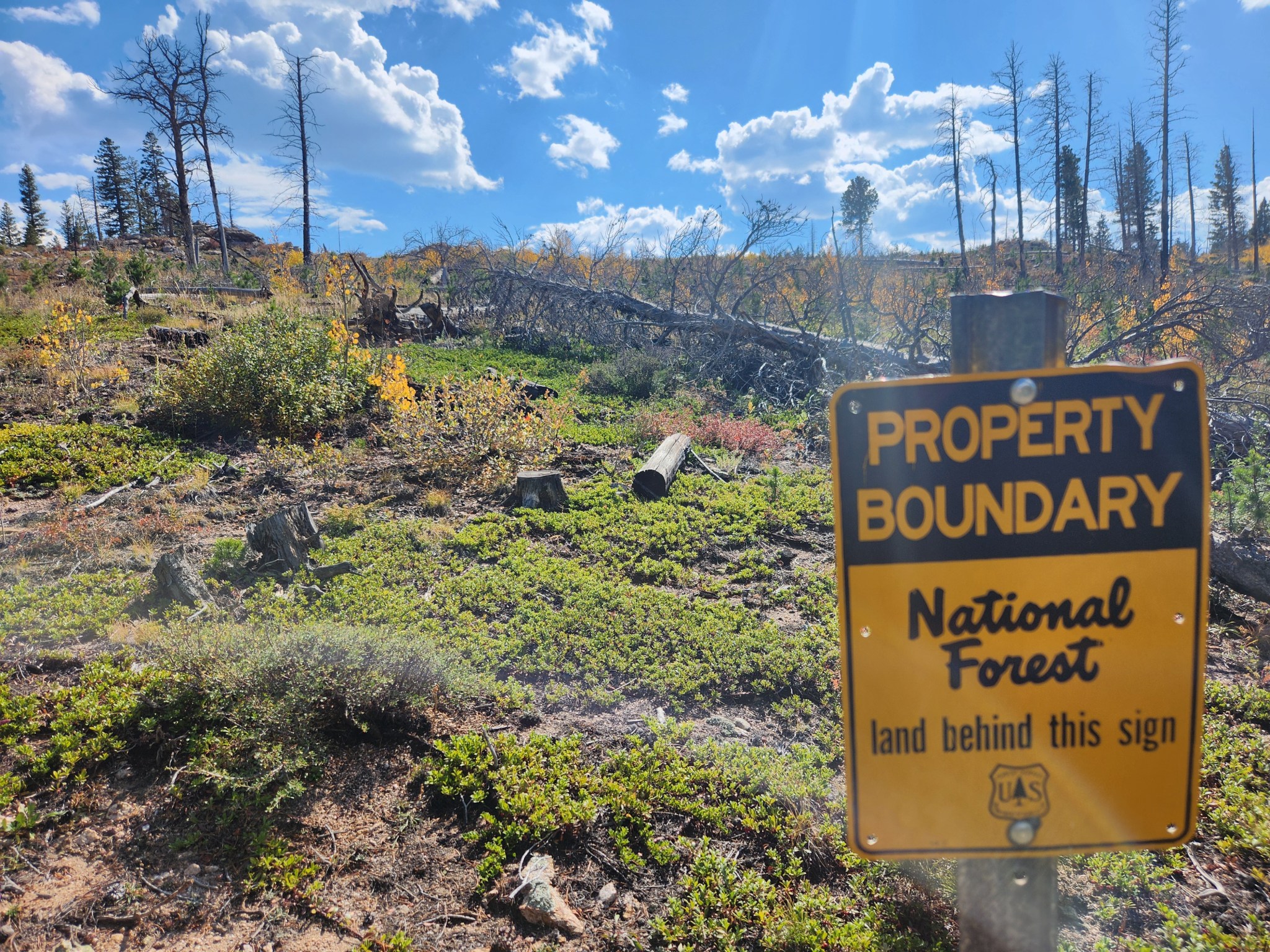Evidence from U.S. Forest Service Study: Forest “Thinned” for “Fuel ...