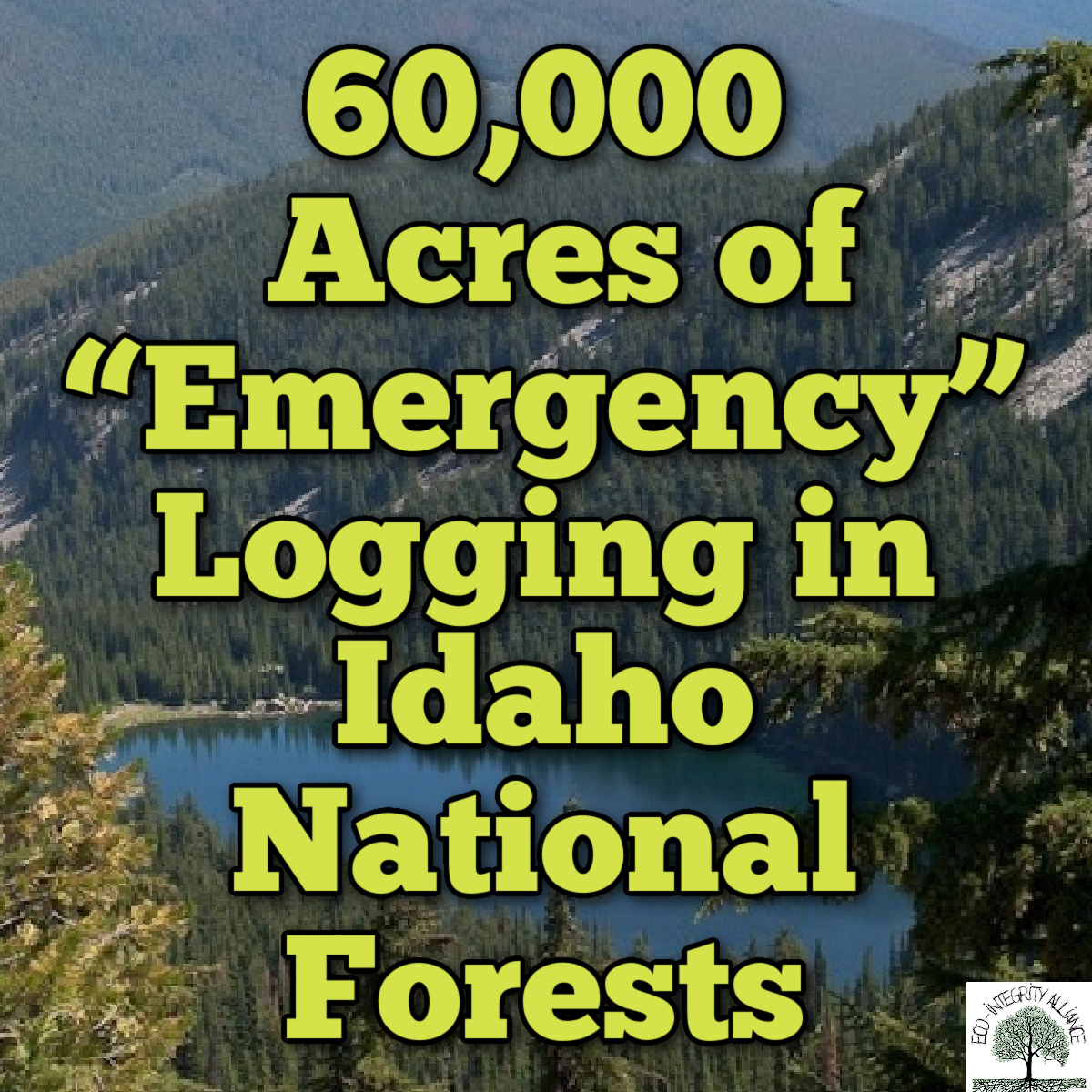 60,000 Acres of Scientifically-Contested “Emergency Action” Logging in ...