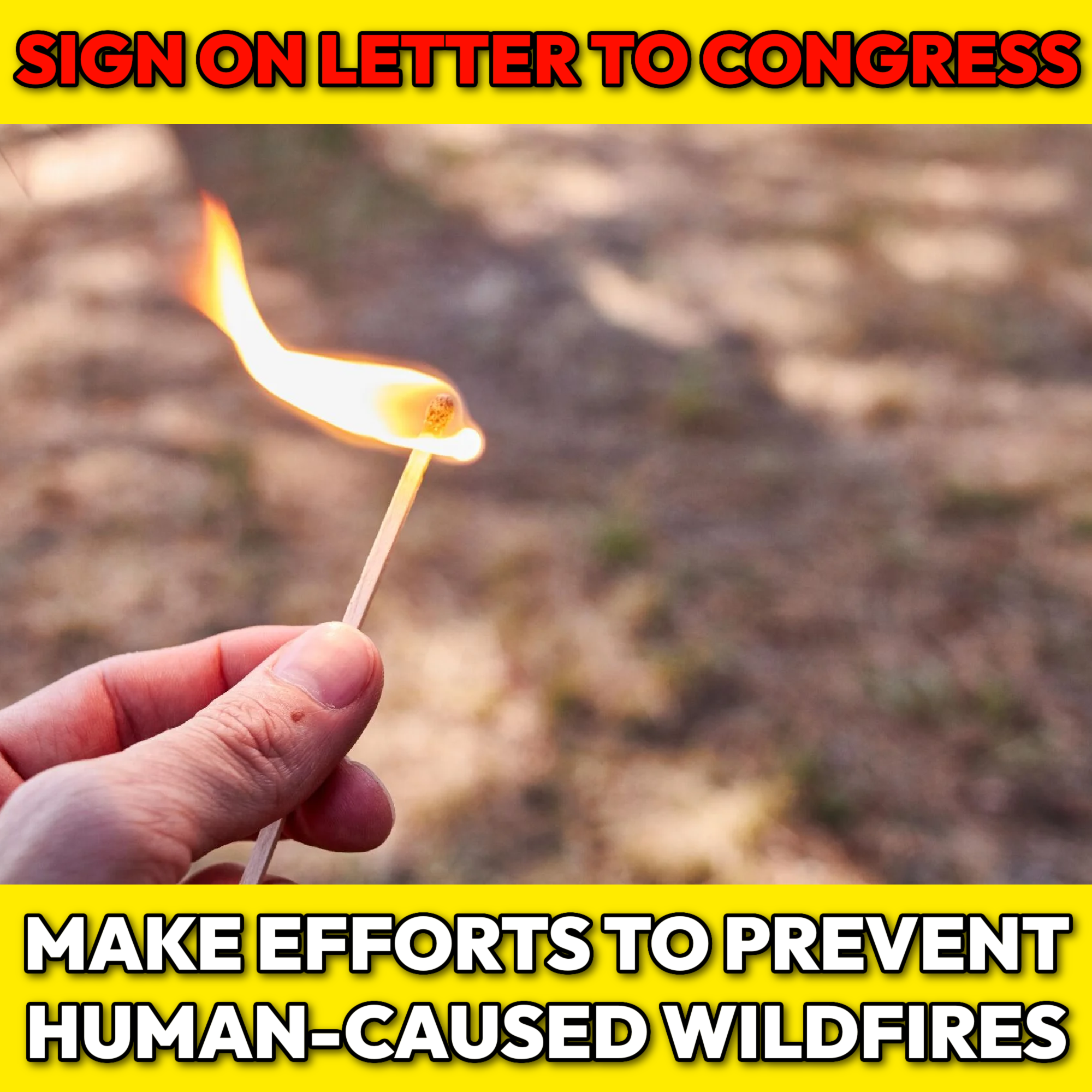 26 Organizations Sign on to Letter: “Congress Must Make Efforts to ...