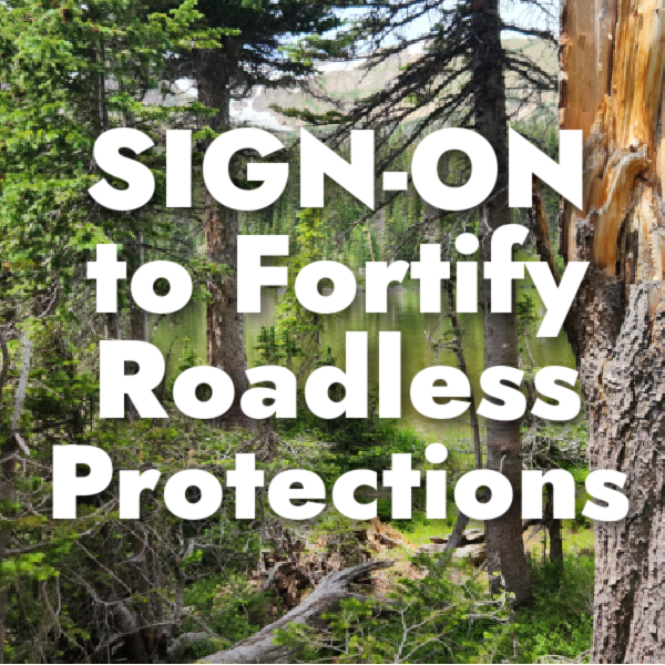 SIGN-ON to Fortify Roadless Protections: Stronger Than the Rule ...