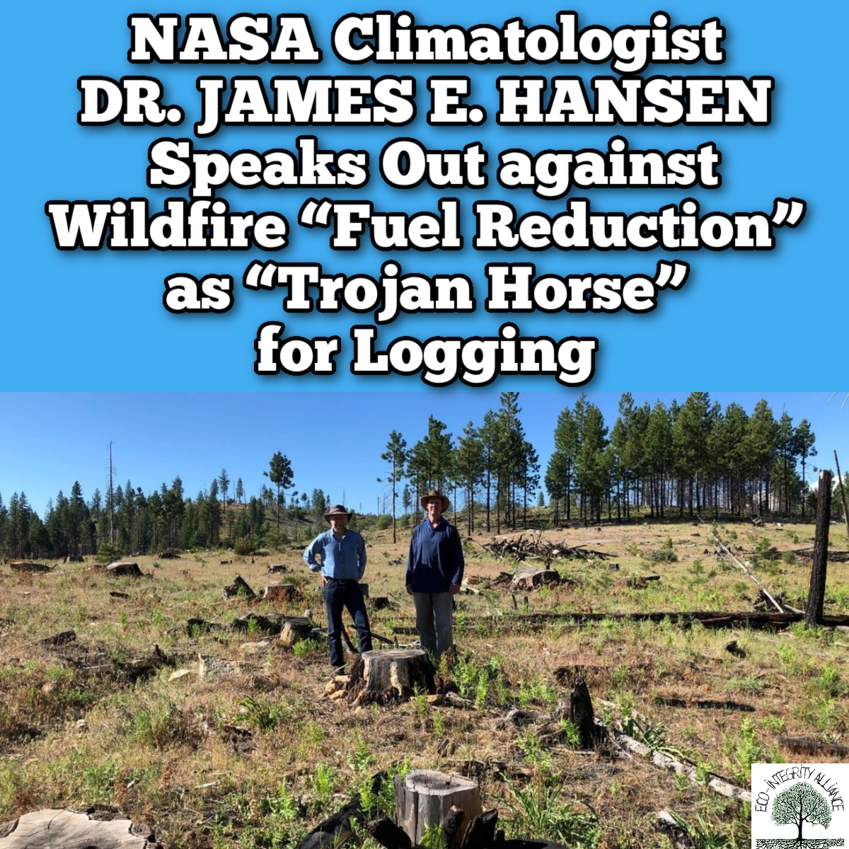 NASA Climatologist Dr. James E. Hansen Speaks Out against Wildfire ...